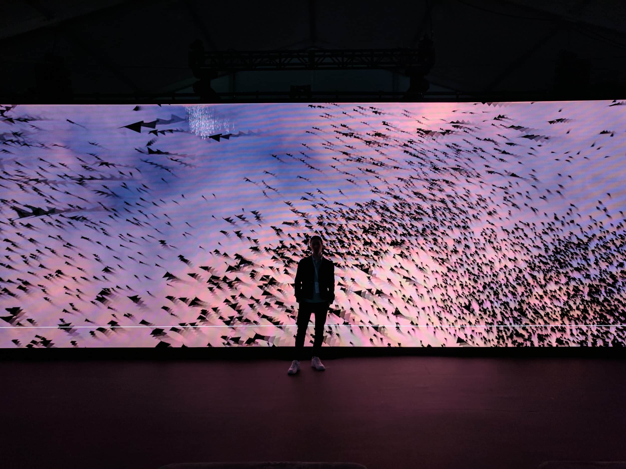 robin - Web and Mobile Developer